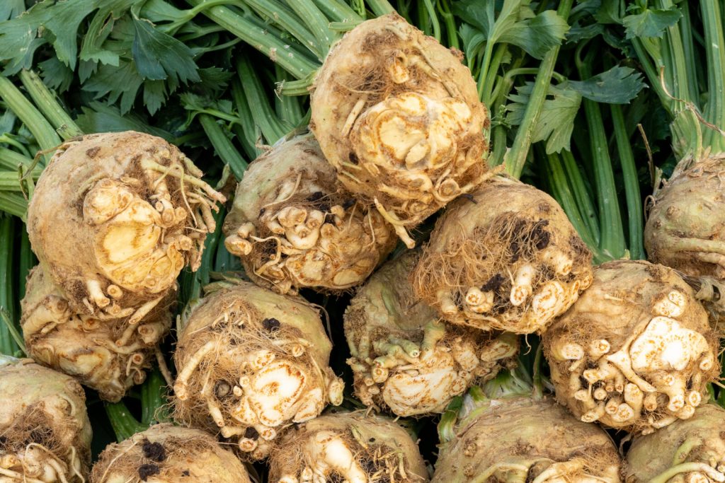 Selderij allergie – Allergyn Club